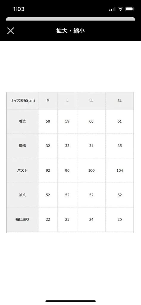디마럽 양산형 지뢰계 옷 사이즈 질문 지식in