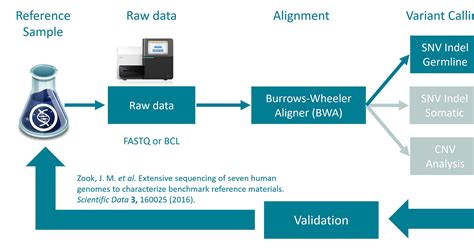 Ngs Validation As A Service Every Clinical Lab Is Facing Challenges
