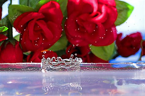 Wassertropfen Klaus Ender