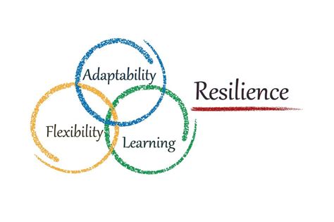 What Is Agile Leadership Executive Coach Insights And Benefits