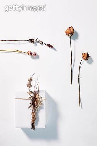 오브젝트 묘사 실내 스튜디오촬영 계절 가을 겨울 크리스마스 국경일 드라이플라워 식물 꽃 선물상자 선물 인조물건 크리스마스선물 백그라운드