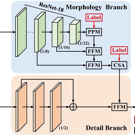 Architecture Of The Deep Supervision Module Download Scientific Diagram
