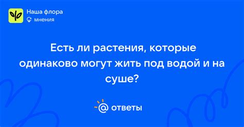 Есть ли растения которые одинаково могут жить под водой и на суше Ответы Mail