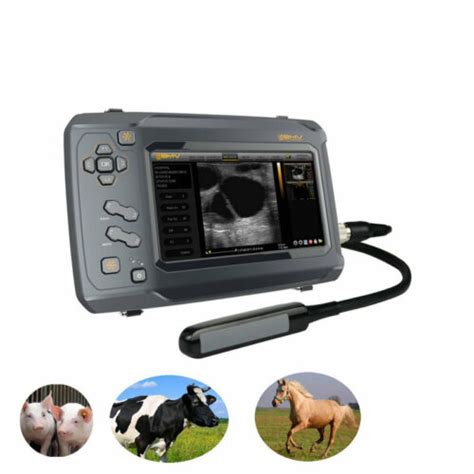 S6 Touch Curve Scanner Niche Office Solutions Ltd