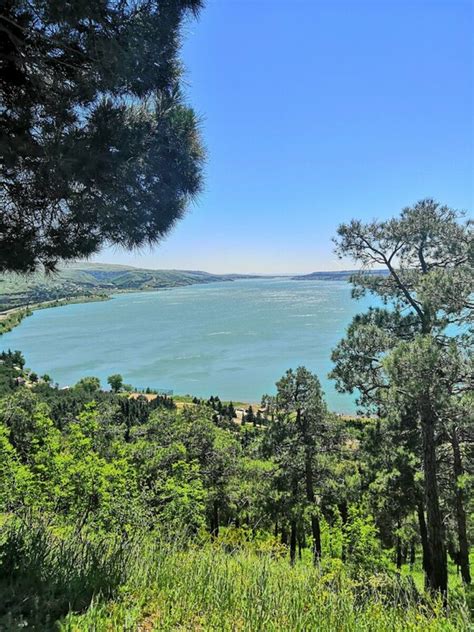 Волонтерская акция на Тбилисском море Tbilisi Clean Up