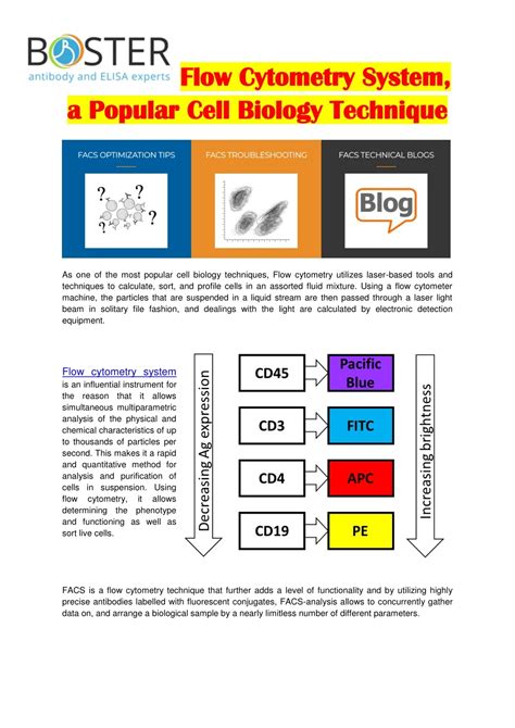 Ppt Flow Cytometry System Powerpoint Presentation Free Download Id8355640