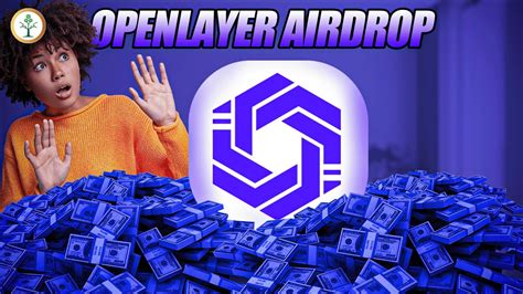 How To Set Up Your Node For The Openlayer Airdrop Youtube