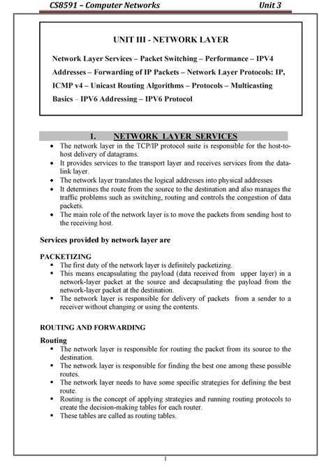 Network Layer Serives And Performance NETWORK LAYER SERVICES The Network Layer In The TCP