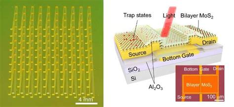 Retina Inspired Sensors For More Adaptive Visual Perception