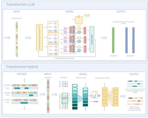 Ajitesh Shukla On Linkedin Large Language Models For The Genome