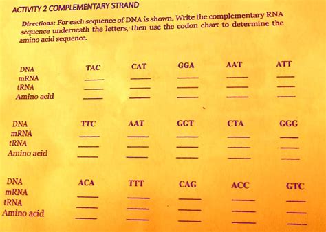 Pasagot Po Please Salamat Activity 2 Complementary Strand Of Dnais