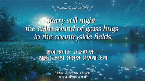 Healing Asmr 별이 빛나는 고요한 밤 시골 들판의 잔잔한 풀벌레 소리 Youtube