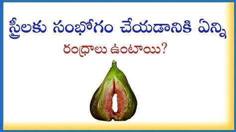 Quiz Questions Latest Human Sex Life Telugu Sex Quiz Thinks Episode YouTube