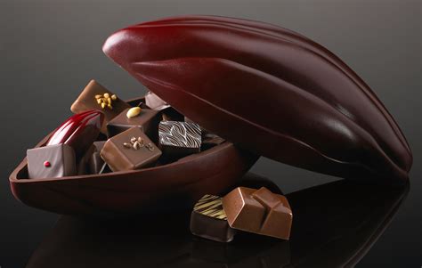 Patrick Et Thibaud Hermand Tradition Gourmande