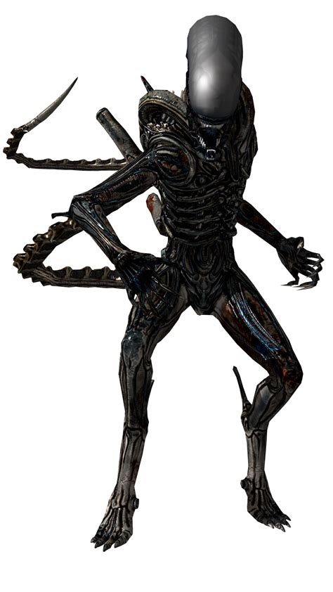 Alien Xenomorph