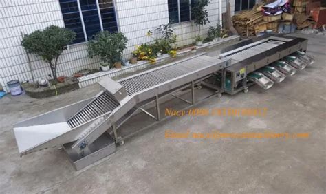 Cherry Tomato Sorting Machine Lychee Sorting Machine Drum Fruit Grading