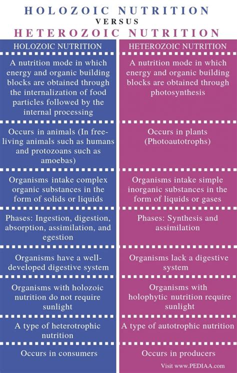 Difference Between Holozoic And Holophytic Nutrition Pediaa