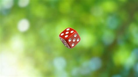 Gutex Multitherm Holzfaserdämmplatte Gutex Dämmstoffe