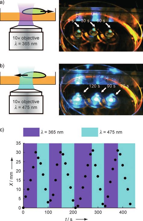 Reversible Wavelength Dependent Motion Of A Droplet Under Partial