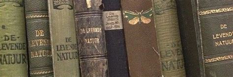 Notion Aesthetic Banner