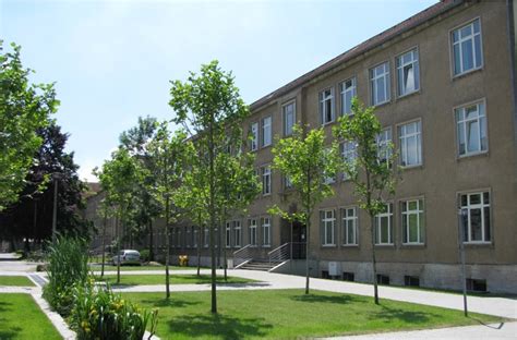 Technical University Of Ilmenau 6g Für Mensch Umwelt And Gesellschaft