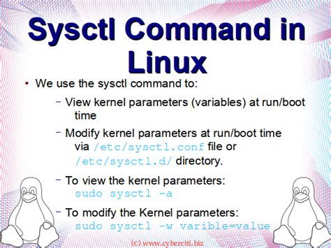 Linux Set Sysctl Variables Command Nixcraft
