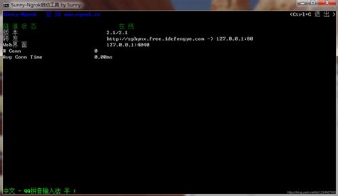 Ngrok——内网穿透的windows使用教程 源码巴士