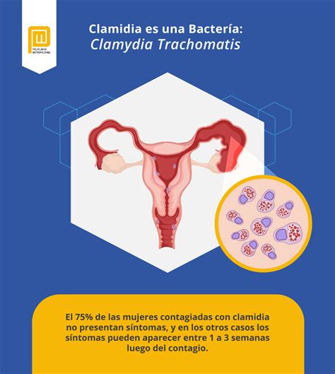 ¿cómo Saber Si Se Tiene Clamidia Policlinica Metropolitana