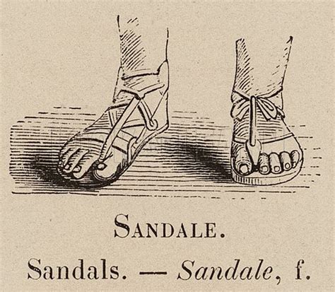 Le Vocabulaire Illustre Sadale Sandals Stock Image Look And Learn