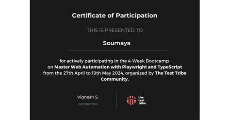 Master Web Automation With Playwright And Typescript Soumaya Haddad