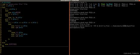 bashshell编程实践：文件操作、数字判断与系统交互 csdn博客