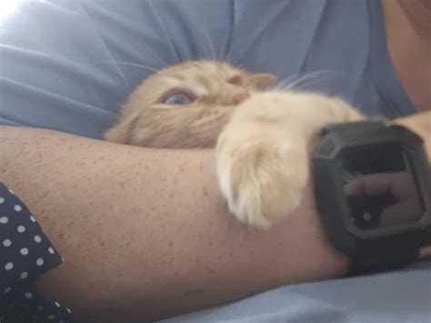 Asr E Toon Bekheir عصرتون بخير Album On Imgur