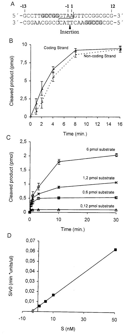 Cleavage Of Wild Type Substrate A Schematic Representation Of The