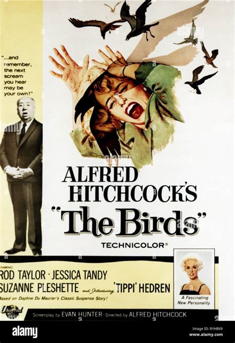 Alfred Hitchcock The Birds Poster Pittsburgh Classic Movie Club