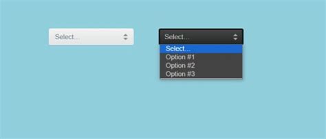 36 Stylish Css Select Elements To Use In Your Forms