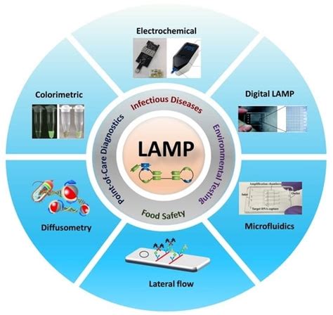 Lamp Based Point Of Care Biosensors For Rapid Pathogen Detection