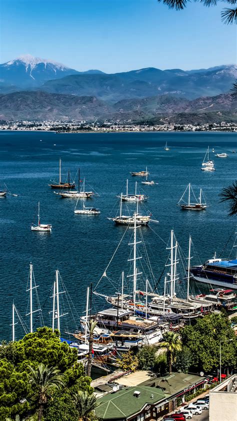 Beach Cove 경치 좋은 전망 고립된 만 고요한 해변 고요함 광야 극적인 절벽 깨끗한 자연 깨끗한 하늘 나비 계곡 때묻지 않은 자연 레저