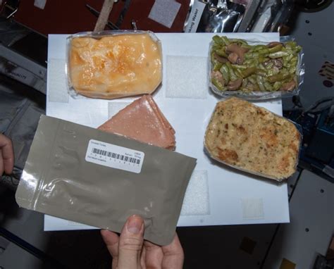 Produce Food In Space At William Pfeffer Blog