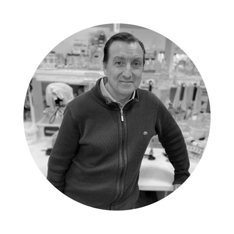 Soncini Fernando Ibr