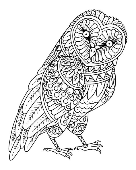 Owl Mandala Coloring Sheet Todd Waggoner S Coloring P Vrogue Co