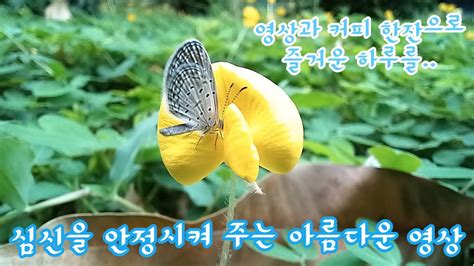 하루가즐거운영상 기분이좋아지는영상 기분전환음악 기분전환 모닝커피 Morningcoffee