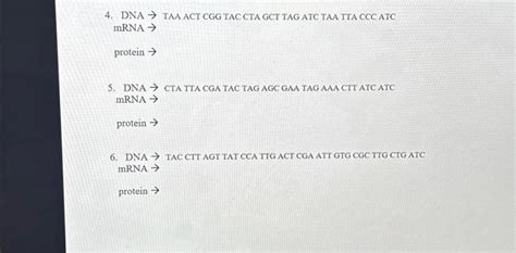Use Your Codon Chart To Determine The Amino Acid