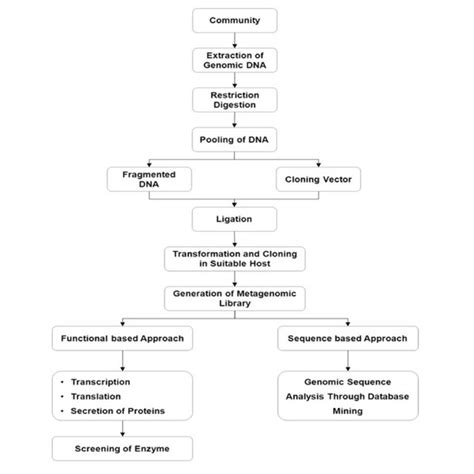Metagenomic Based Efficient Enzyme Screening In Conjunction With Download Scientific Diagram