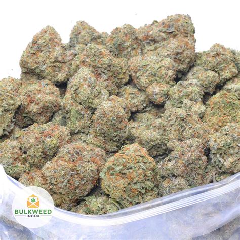 The Toad Aaa Buy Weed Online Online Dispensary