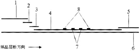 Fluorescent Immunochromatography Method For Whole Quantitative
