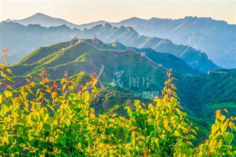 河北滦平晨曦中的金山岭长城美景如画 人民图片网