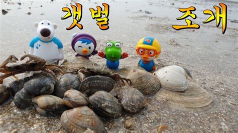 조개를 잡으러 갯벌체험을 하러간 뽀로로와 친구들이 채집한 신기한 갯벌 생물들은 무엇일까요 꿈토이 제43화 Youtube