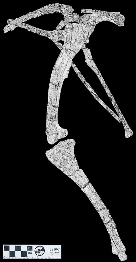 Museo Carmen Funes — And Anabisetia Saldiviai Stephen Poropat