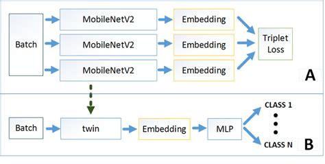 Current Architecture A Siamese Network With Three Twins And The Download Scientific Diagram