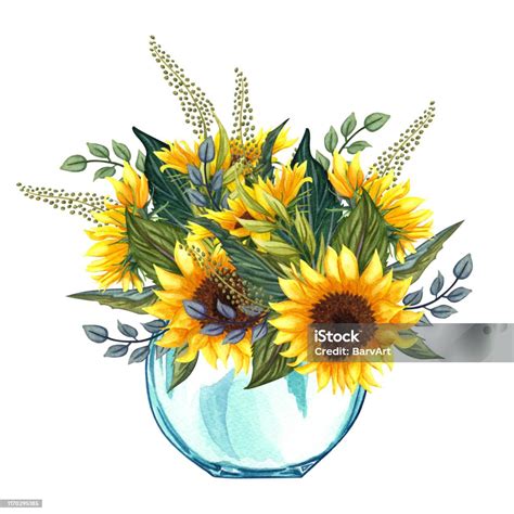해바라기 꽃다발 내부 수채화 유리 화병 손으로 흰색 배경에 고립 그려진 해바라기 의 꽃다발 항아리의 수채화 그림입니다 여름 노란색 야생화 꽃다발 해바라기에 대한 스톡 벡터